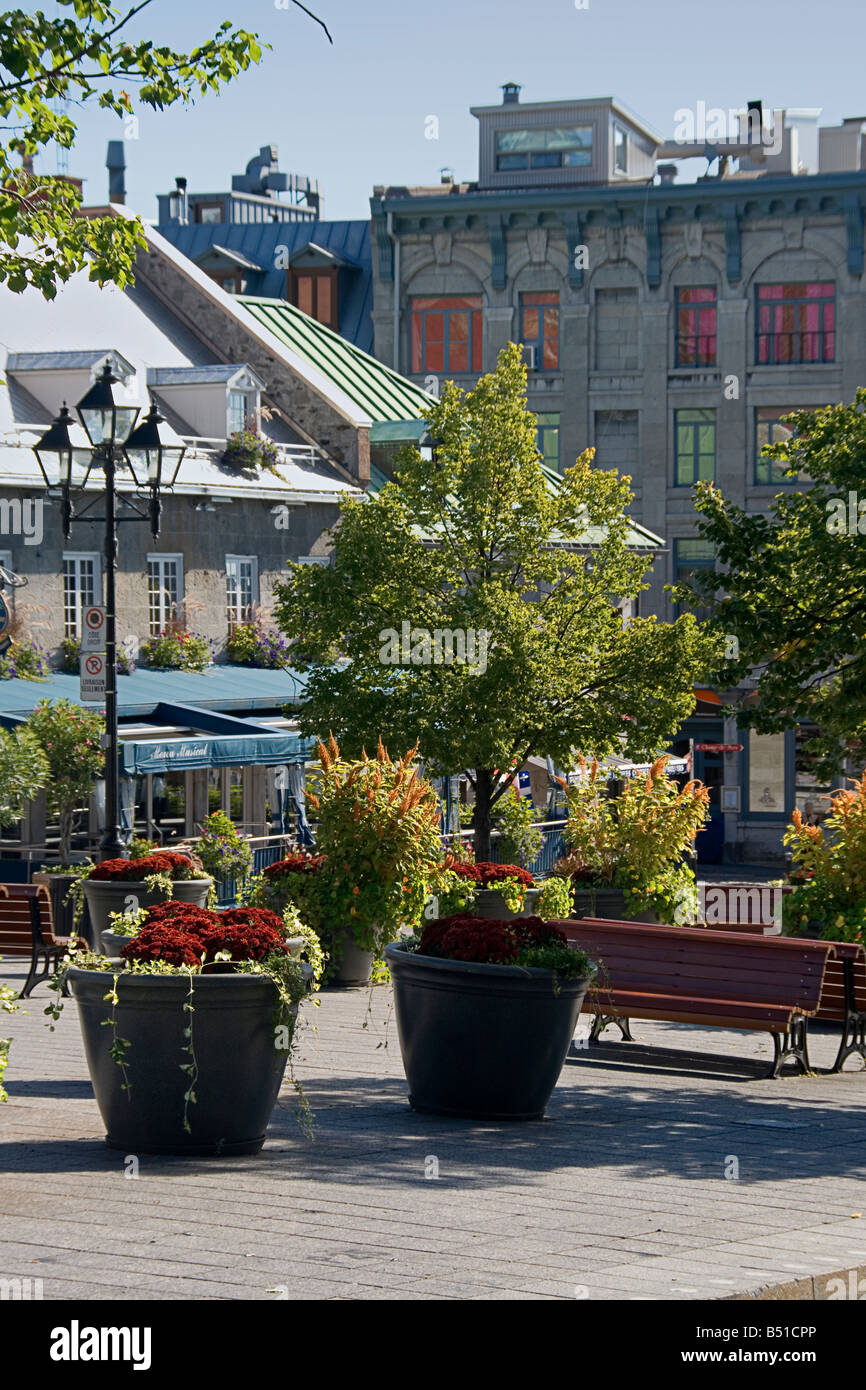 Planta de montreal fotografías e imágenes de alta resolución - Alamy
