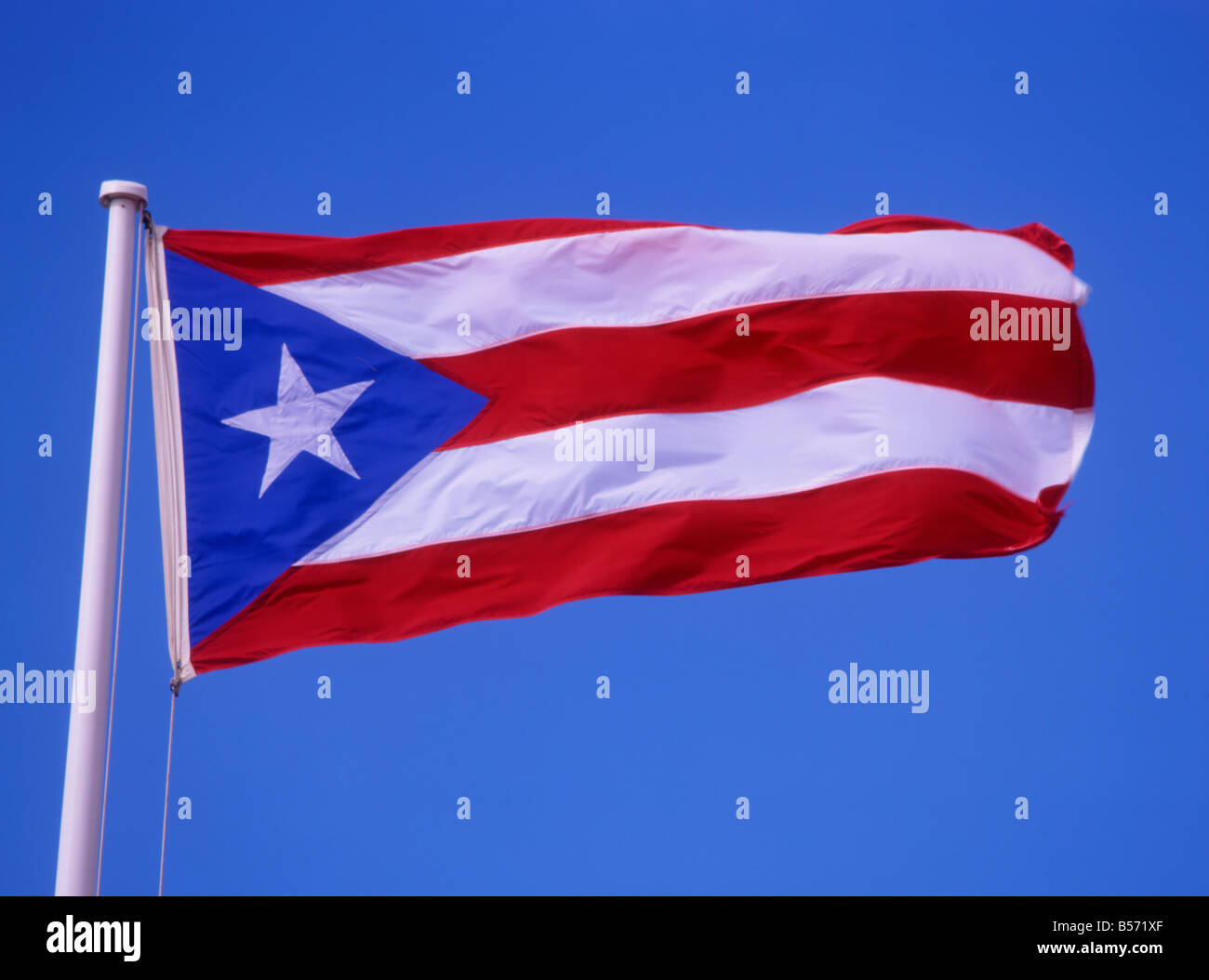 La bandera de Puerto Rico Fotografía de stock Alamy