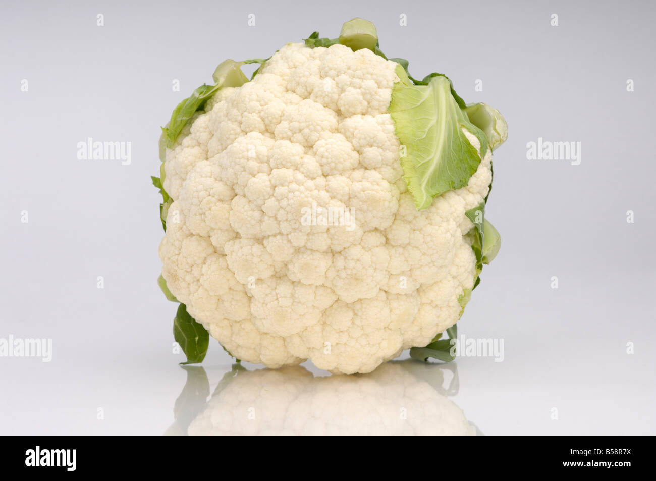 Oreja de coliflor fotografías e imágenes de alta resolución - Alamy
