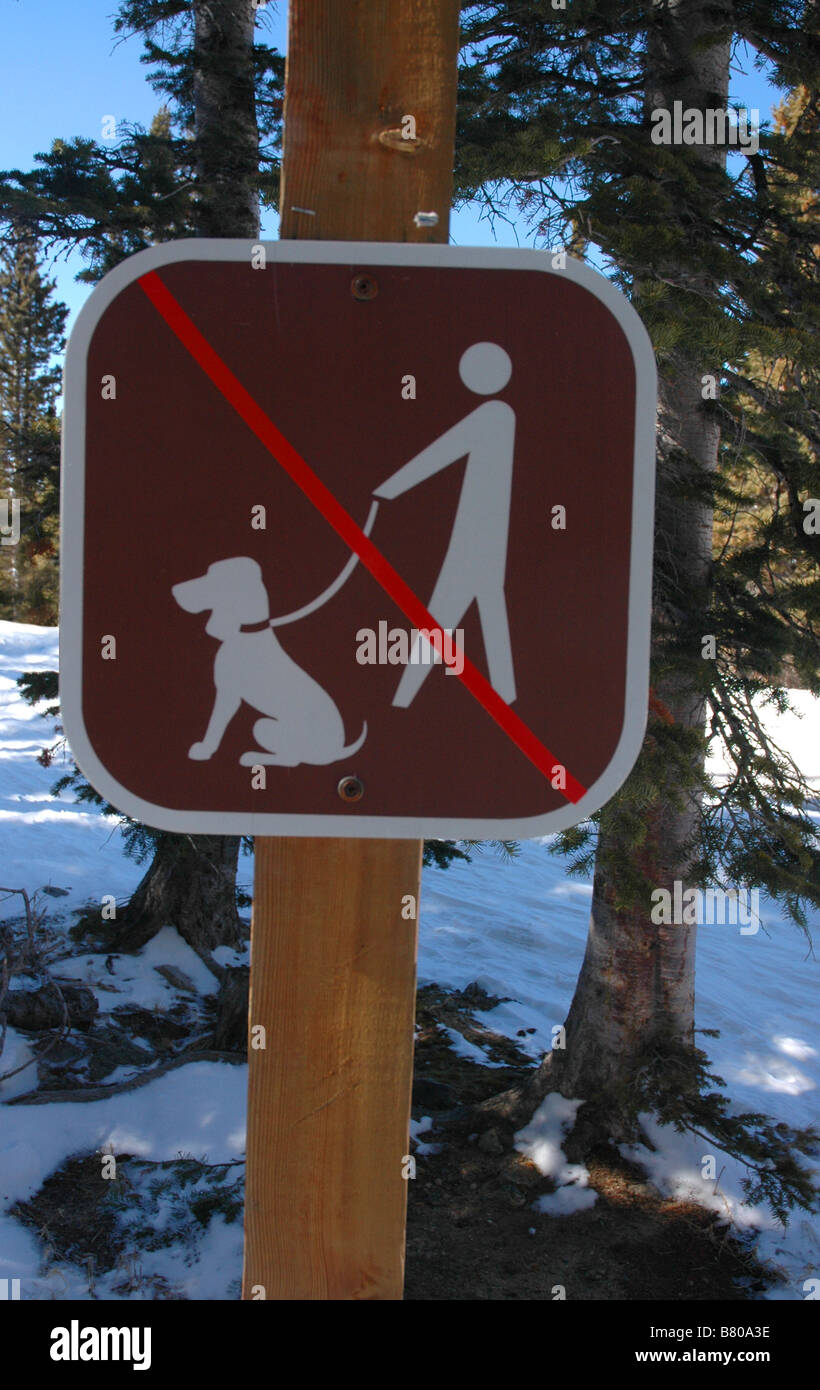 Se Permiten Perros En Los Parques Estatales De Colorado