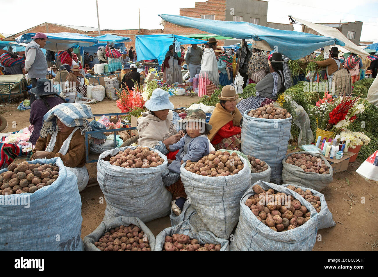 Aymaras Alimentos Fotos e Imágenes de stock - Alamy
