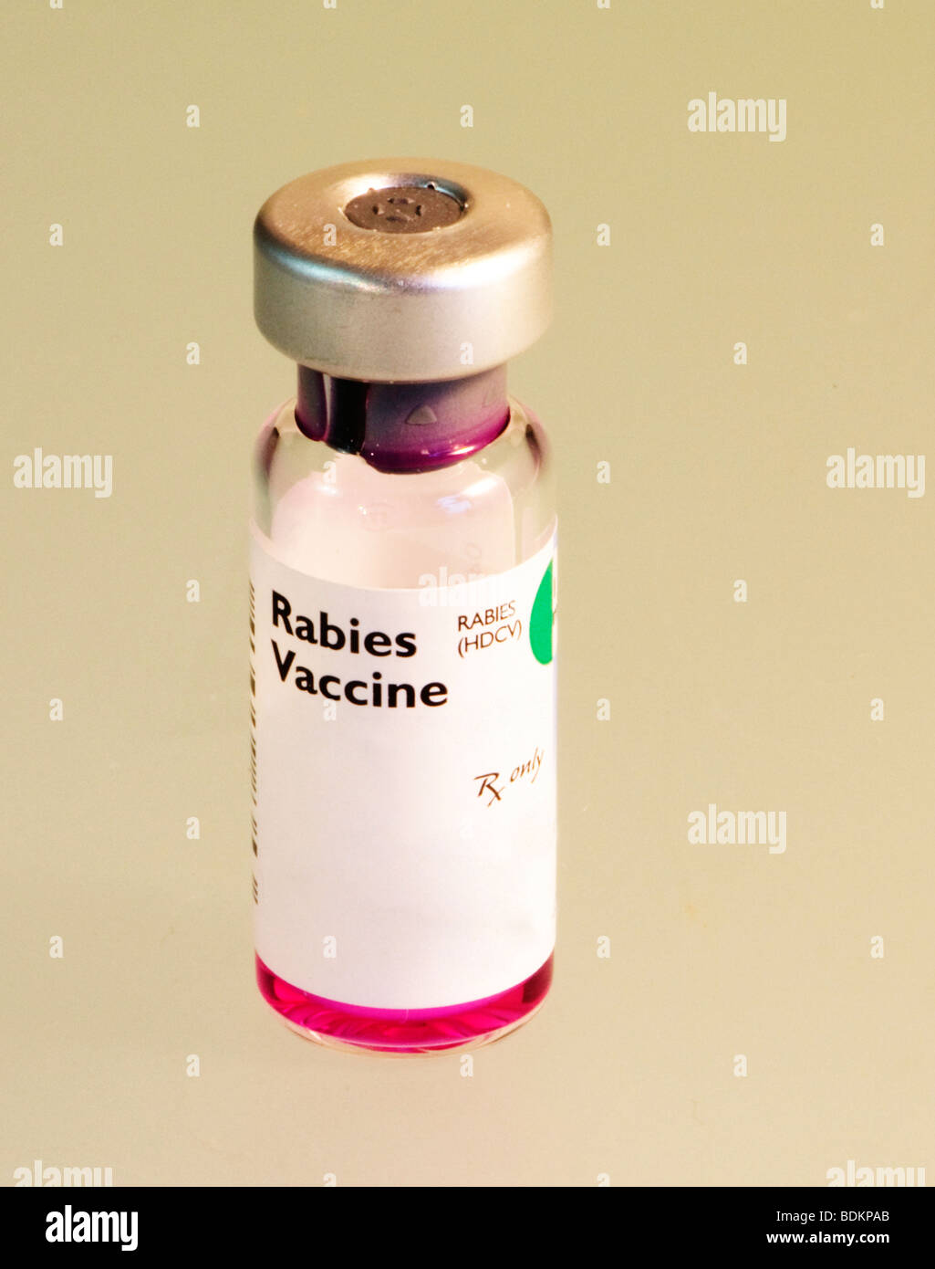 Vacuna contra la rabia fotografías e imágenes de alta resolución - Alamy