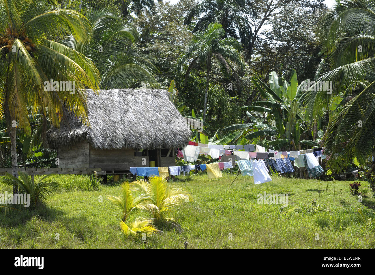 Ngobe Indio Fotografías E Imágenes De Alta Resolución Alamy