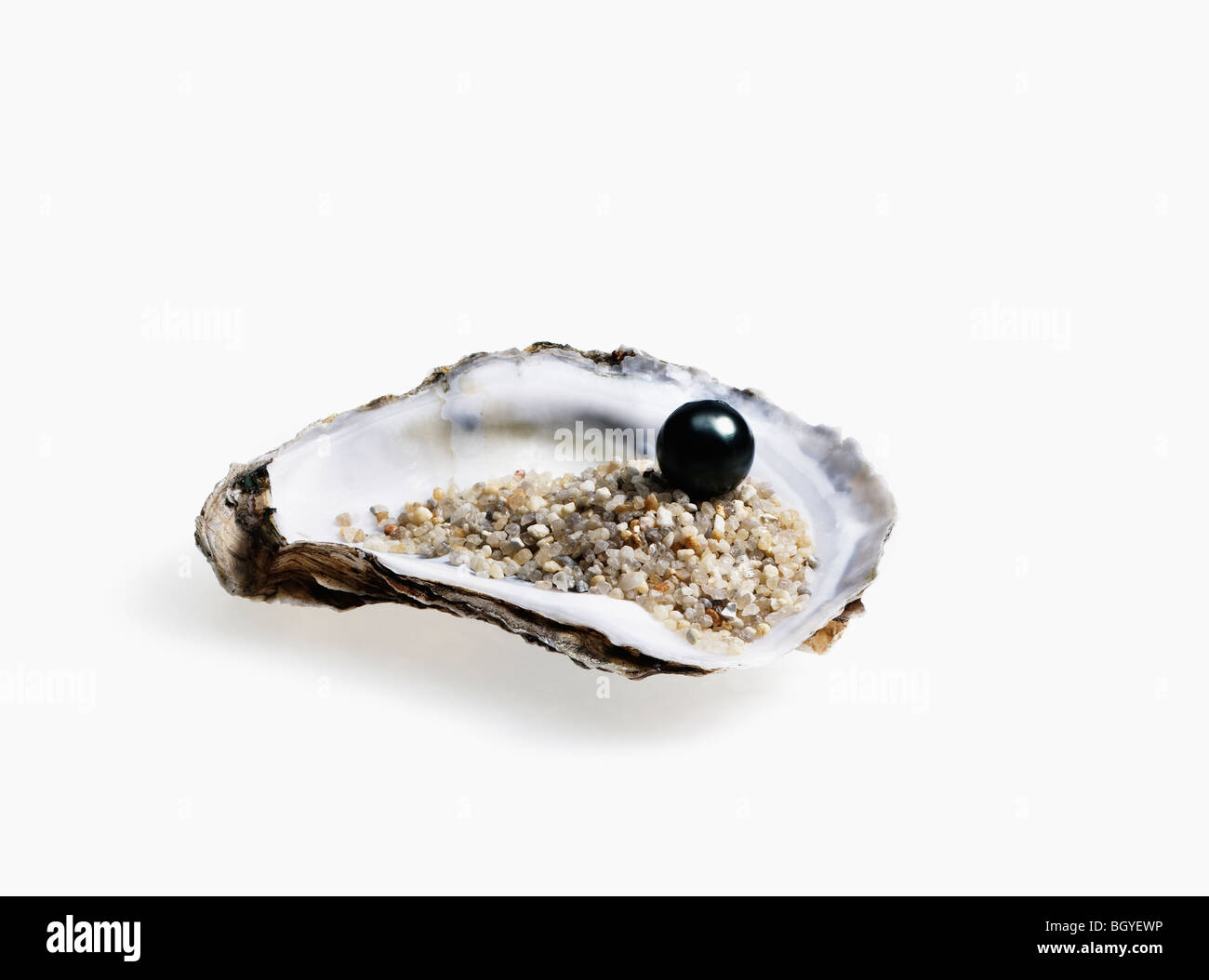 Fondo perla de ostras Imágenes recortadas de stock - Alamy