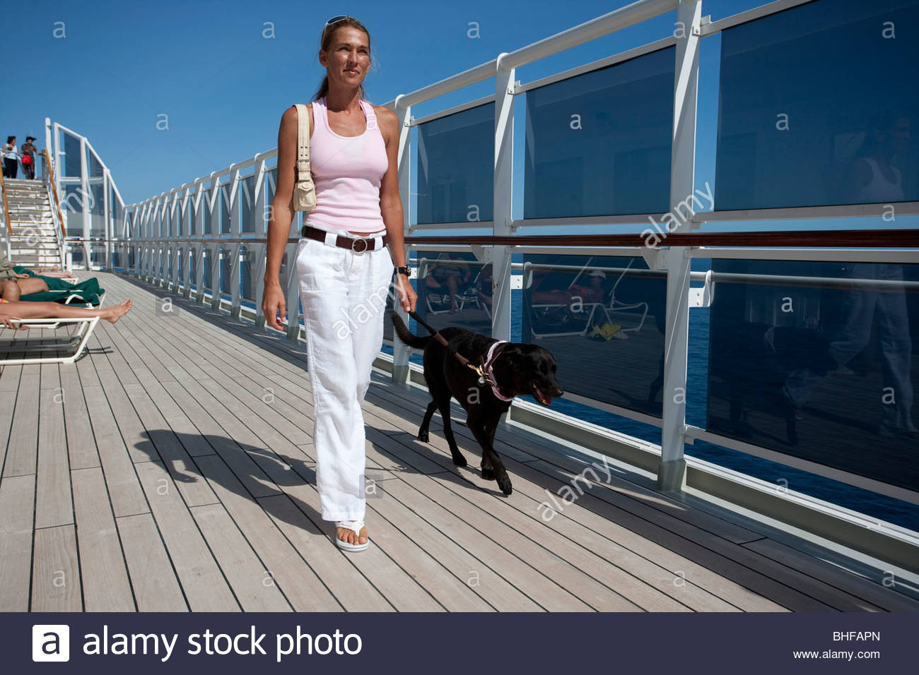 86 Queen Mary 2 Hundezwinger | squirelsant