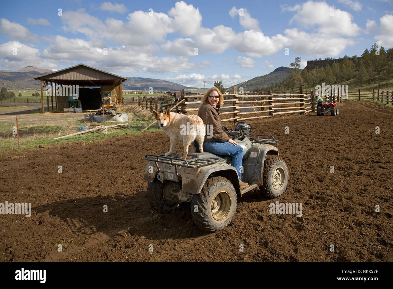 Se Permiten Perros En El Rancho Rock Ledge