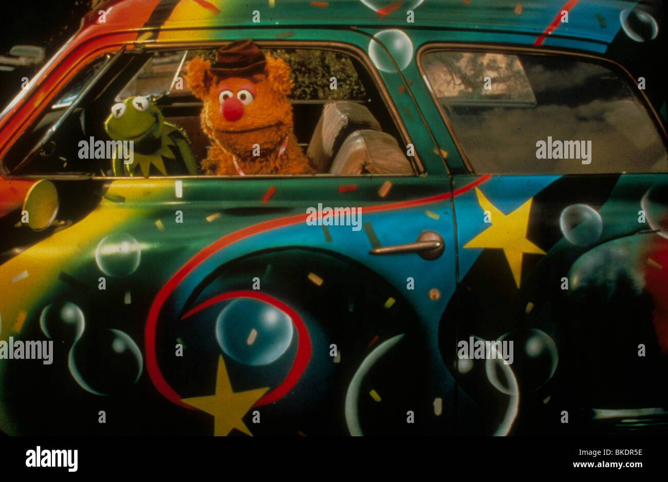 Oso fozzie fotografías e imágenes de alta resolución - Alamy