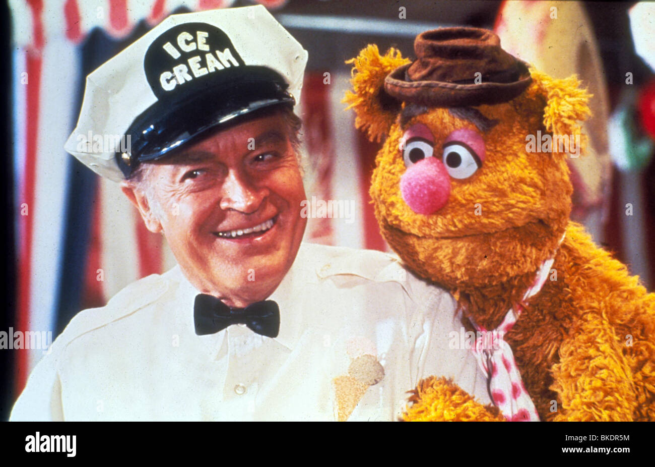 Oso fozzie fotografías e imágenes de alta resolución - Alamy