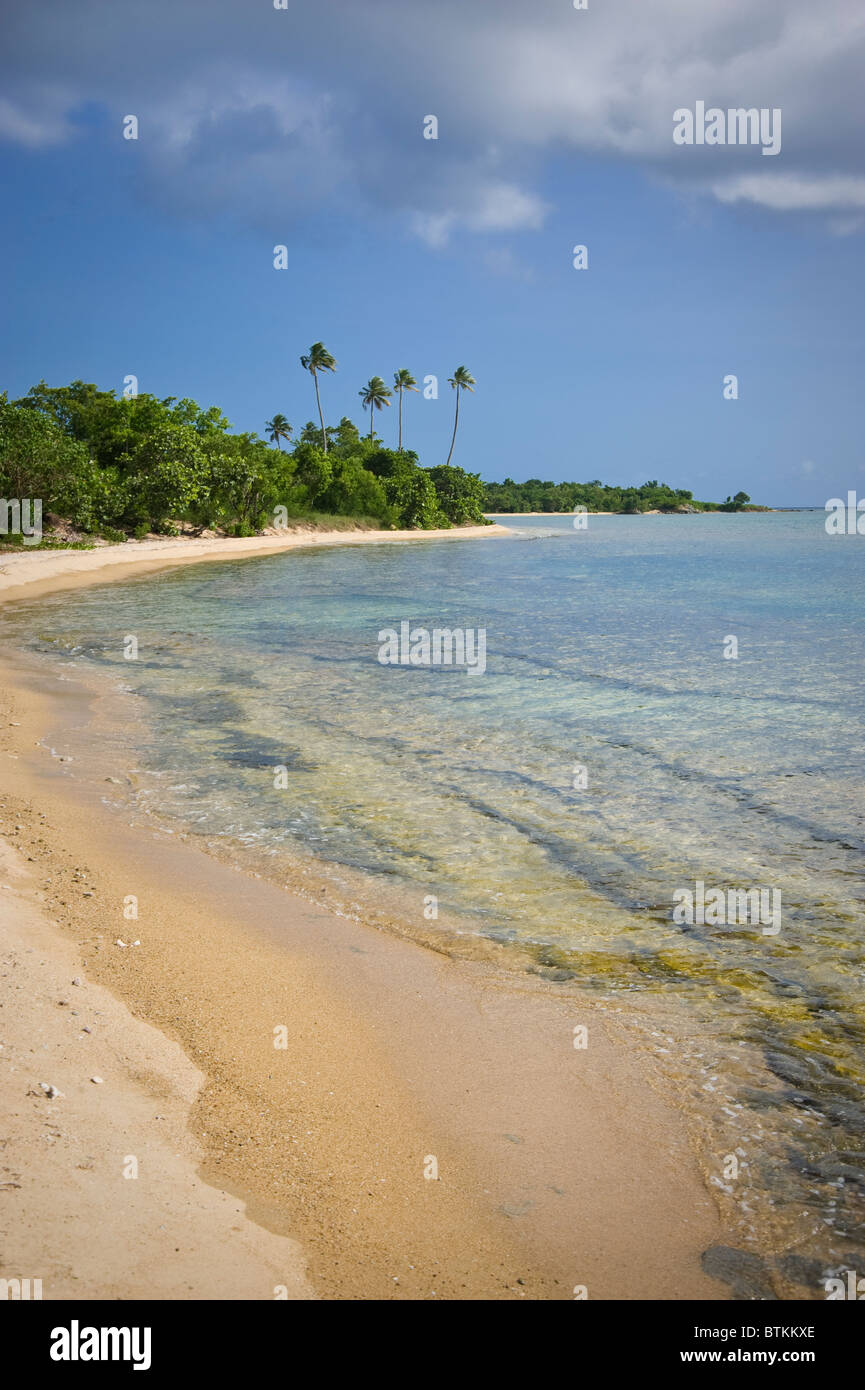 Arrecifes de Coral y desierta playa aislada, Vieques, Puerto Rico ...