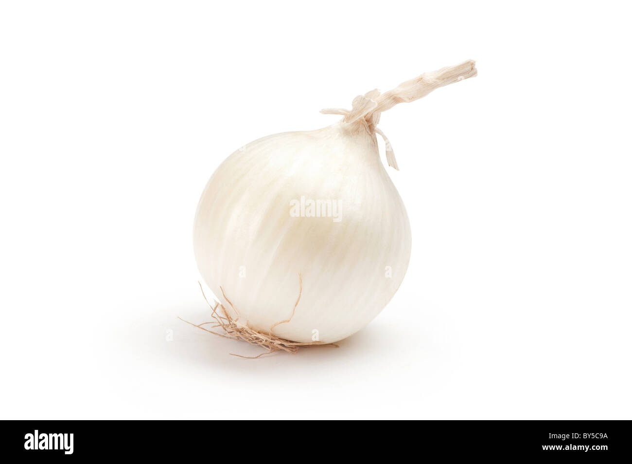 Cebolla Blanca