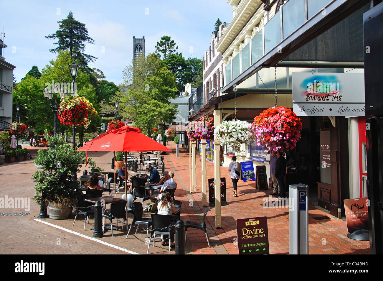 Nelson new zealand fotografías e imágenes de alta resolución - Alamy