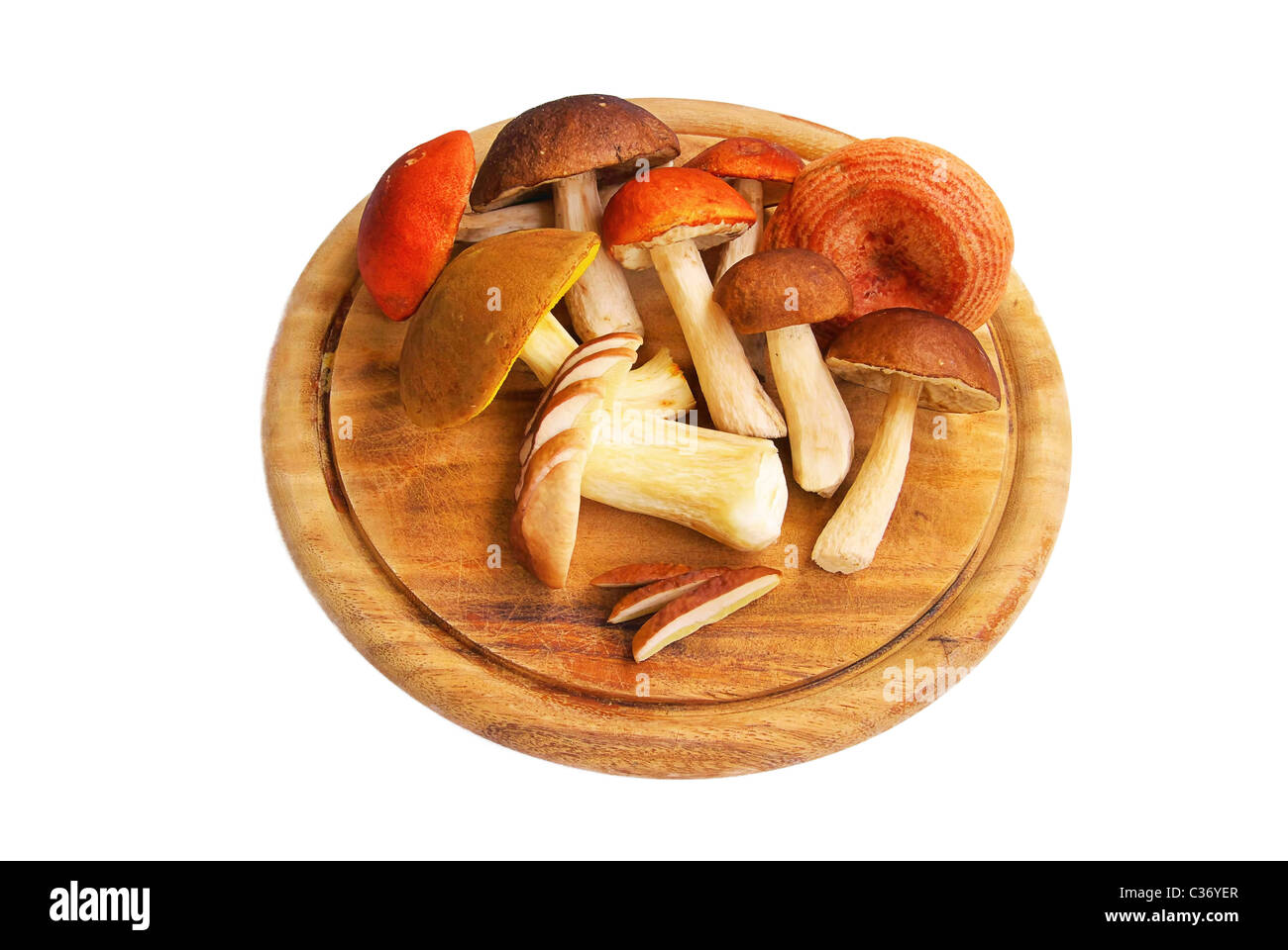 De hongos Imágenes recortadas de stock - Alamy