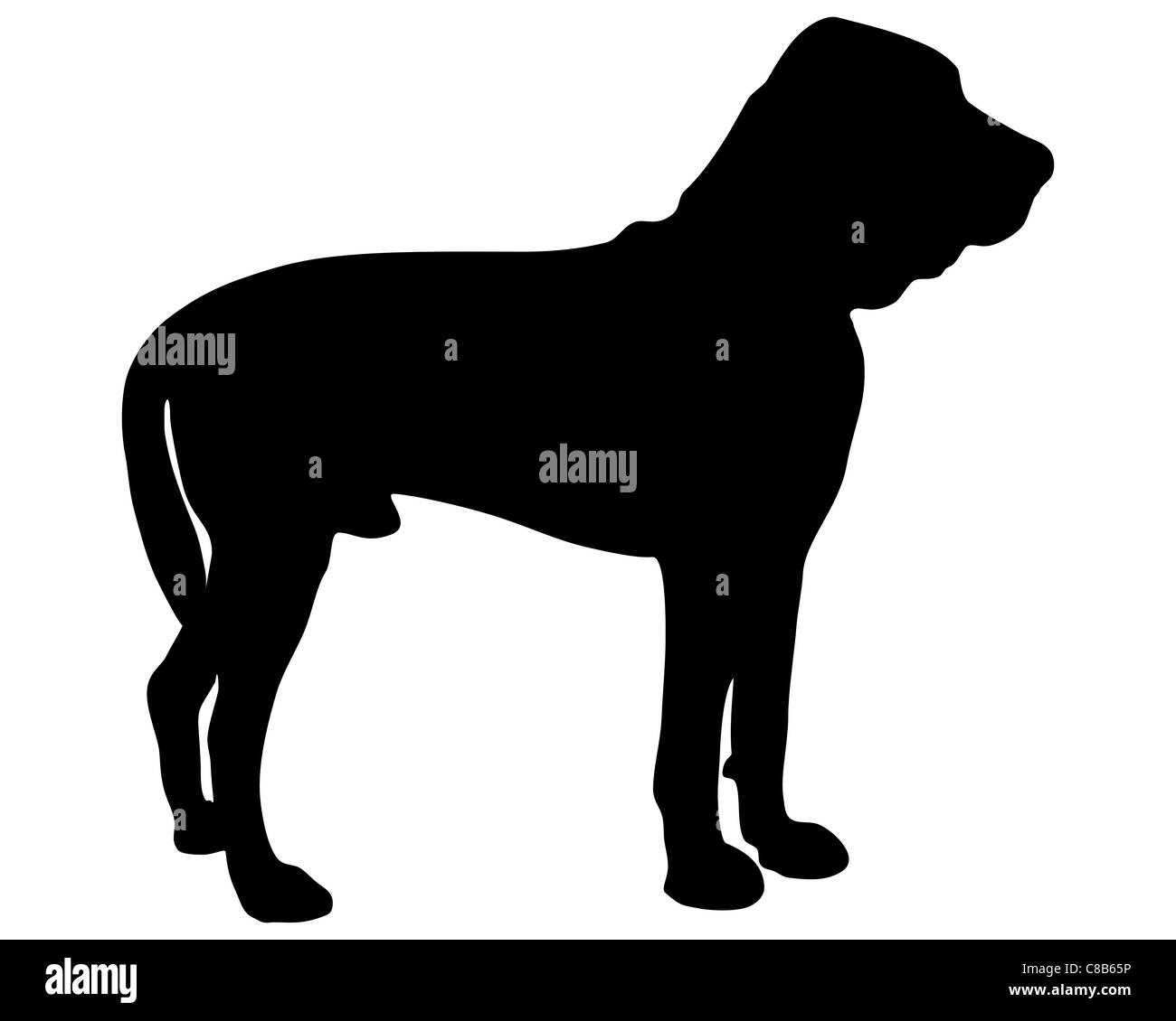 Silueta De Perro Sabueso Fotografías E Imágenes De Alta Resolución Alamy