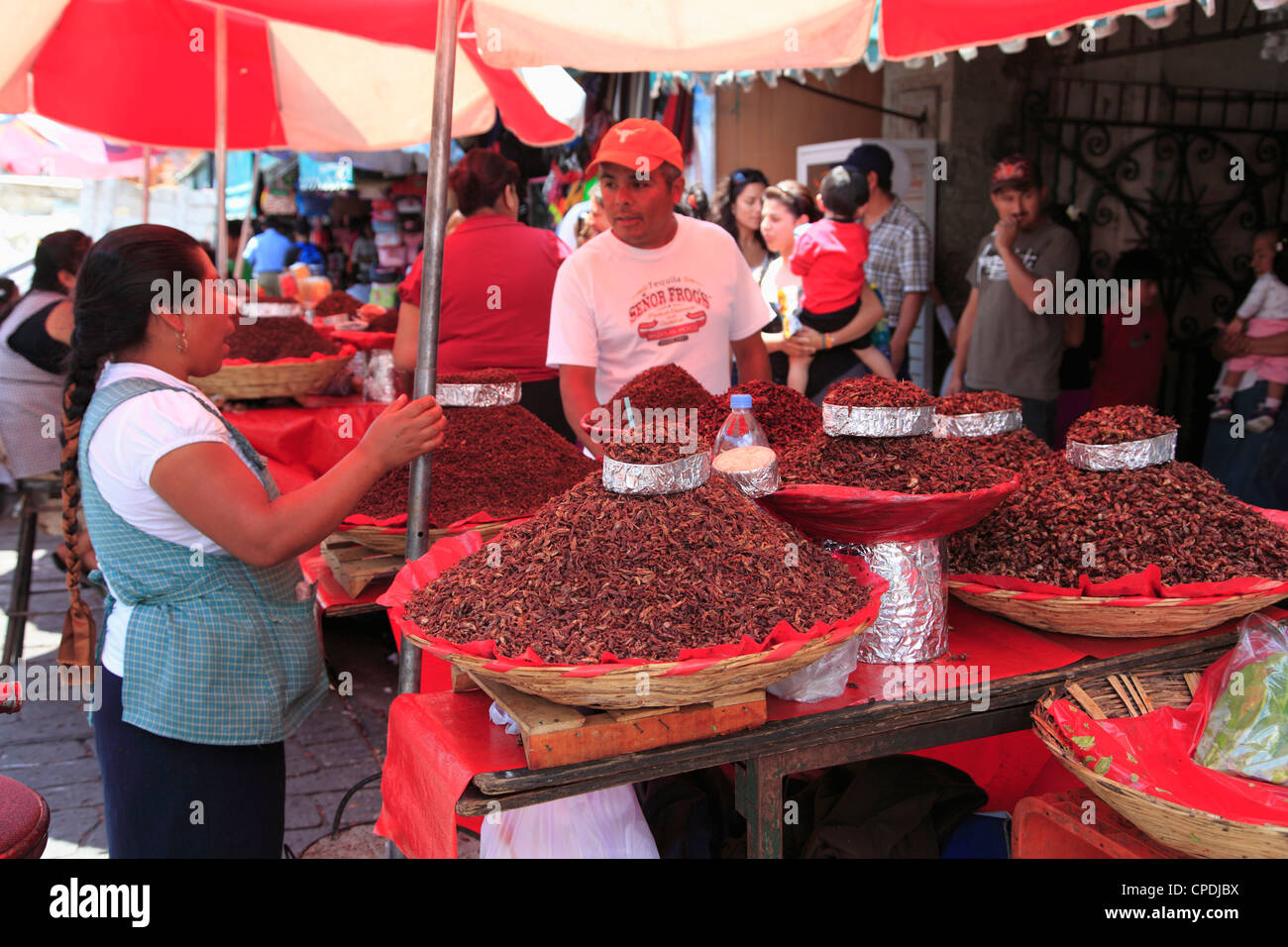 Chapulines Fritos Al Estilo Mexicano