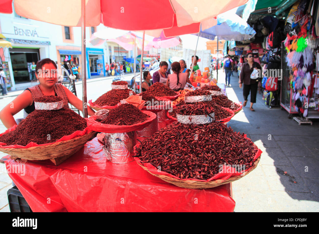 Chapulines Fritos Al Estilo Mexicano