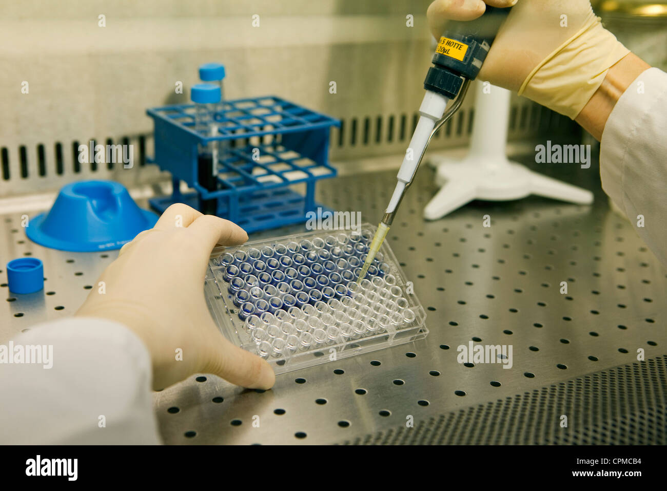 Laboratorio De Cultivo Celular Fotografías E Imágenes De Alta