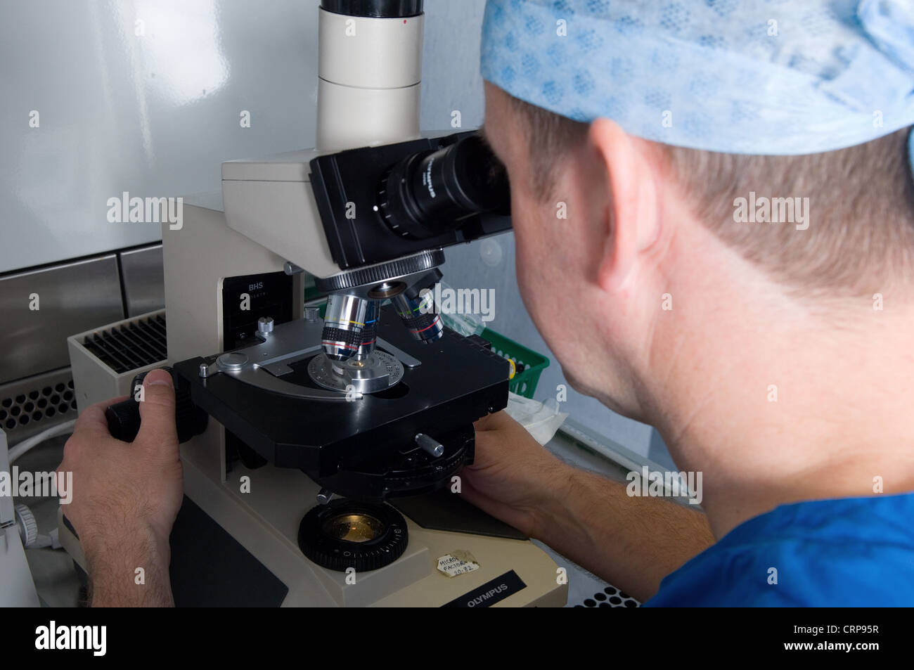 Cultivo De Esperma Fluidos Corporales De La Muestra Fotografías E