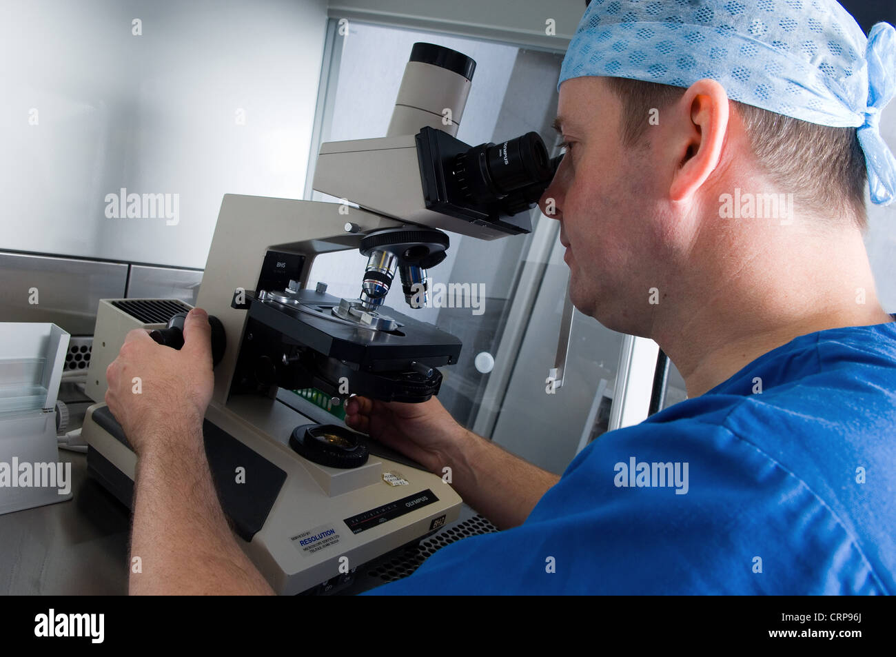 Cultivo De Esperma Fluidos Corporales De La Muestra Fotografías E