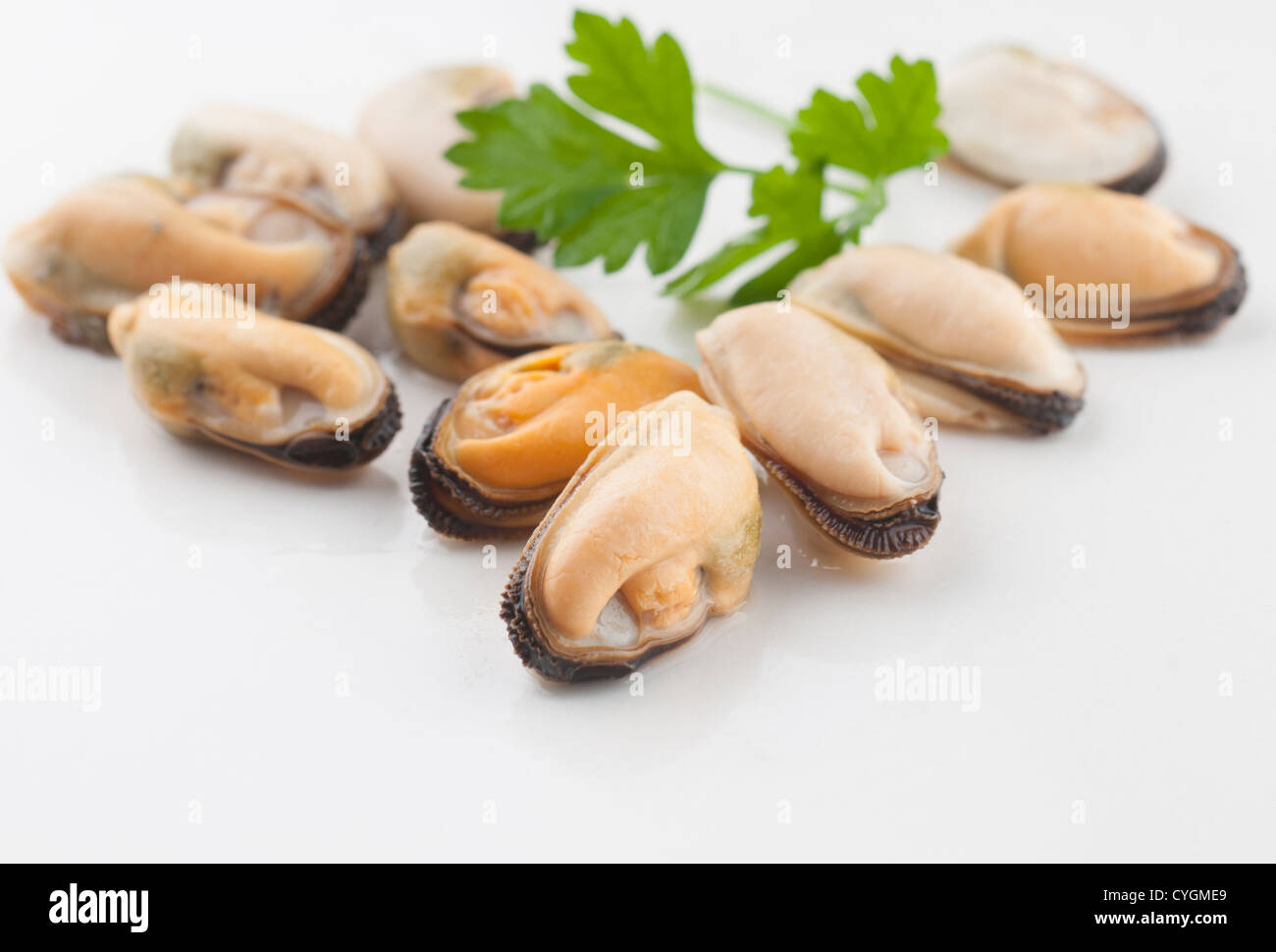 Mariscos de temporada en mayo: ¿cuáles y dónde encontrarlos? - Delicias ...