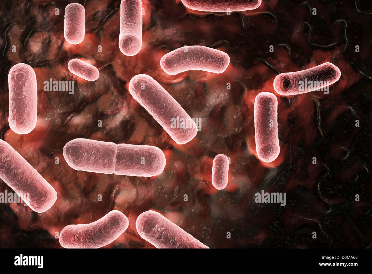 Bacteriasdelapestebubonica