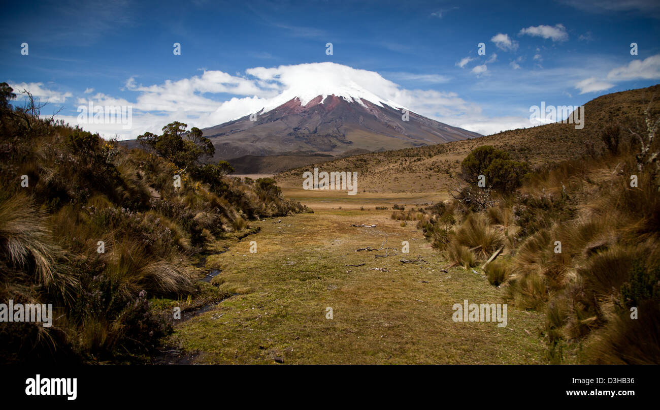 La Cordillera De Los Andes Del Ecuador – MAHZGY
