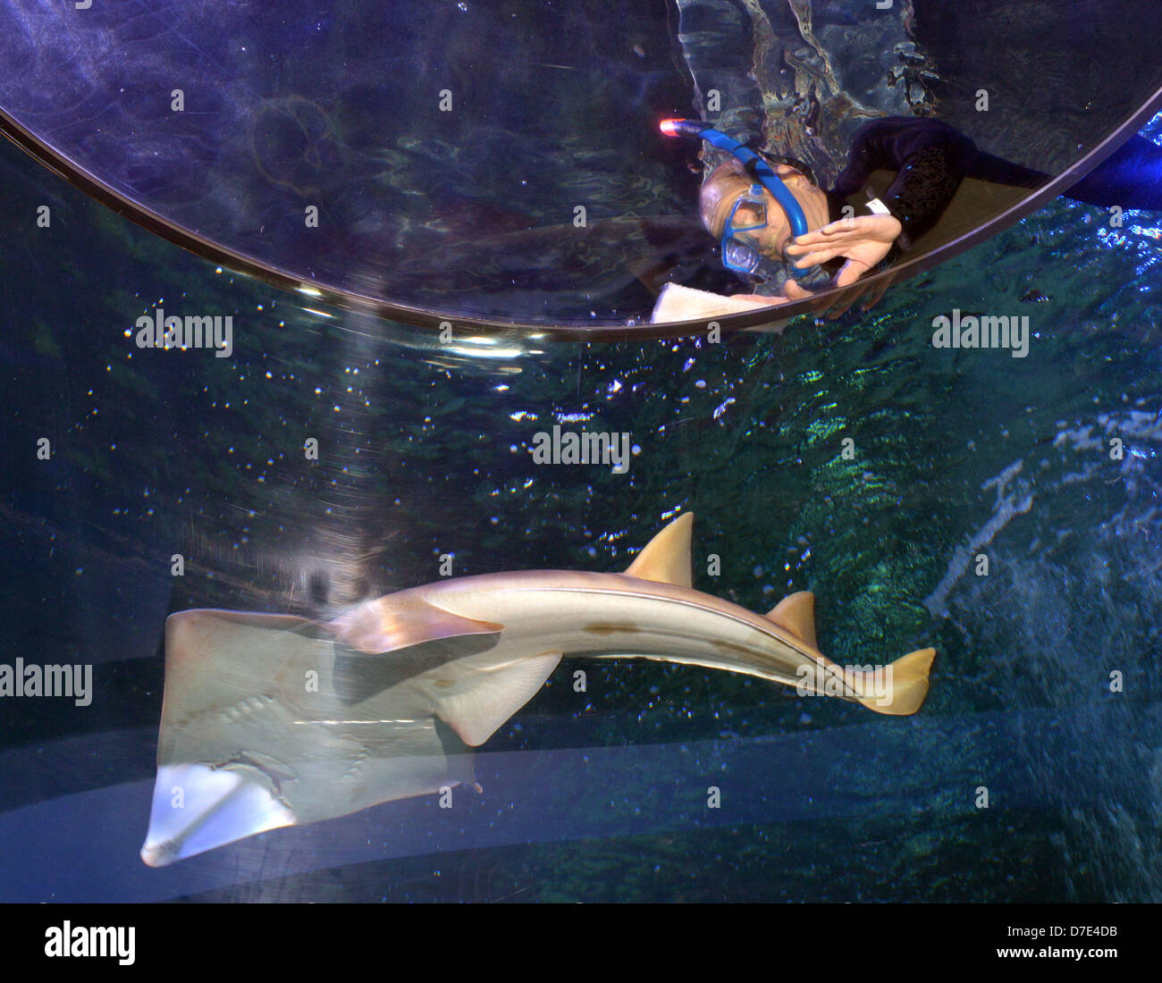 Tablero De 10 Metros Fotografías E Imágenes De Alta Resolución Alamy