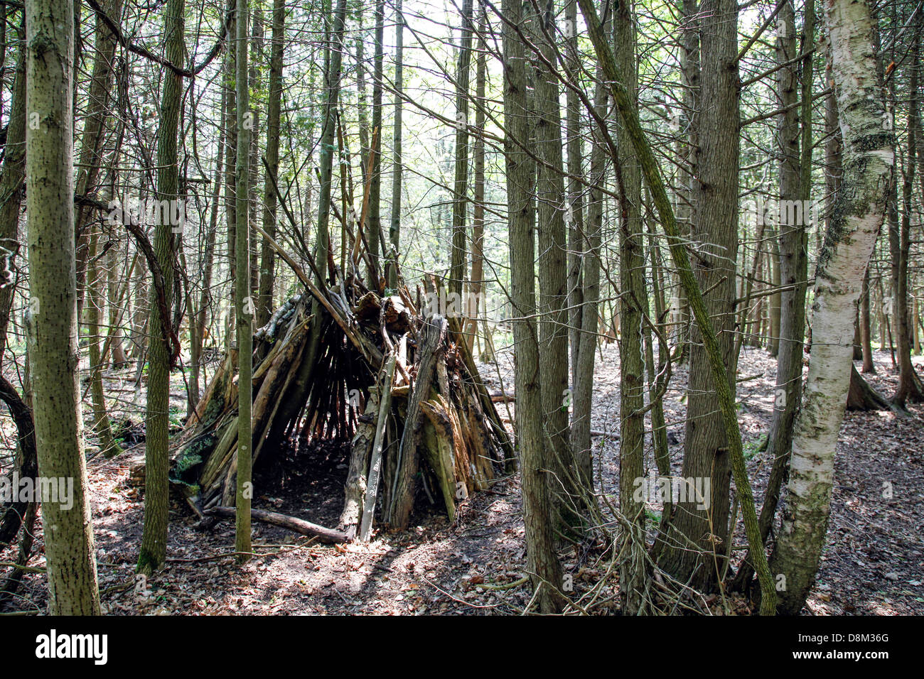 Refugio De Los Indios Del Bosque Oriental