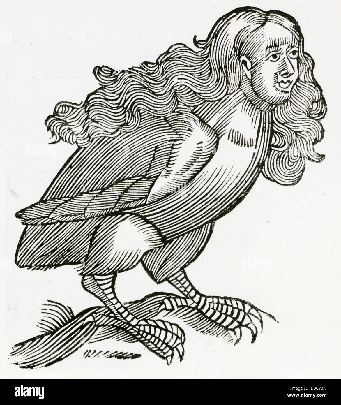 Sirena Mitología Griega Pájaro