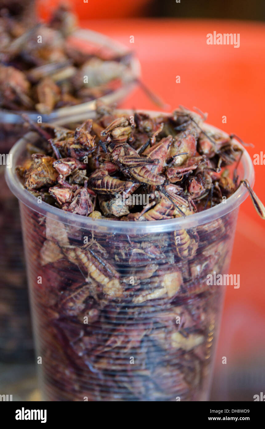Chapulines Fritos Al Estilo Mexicano