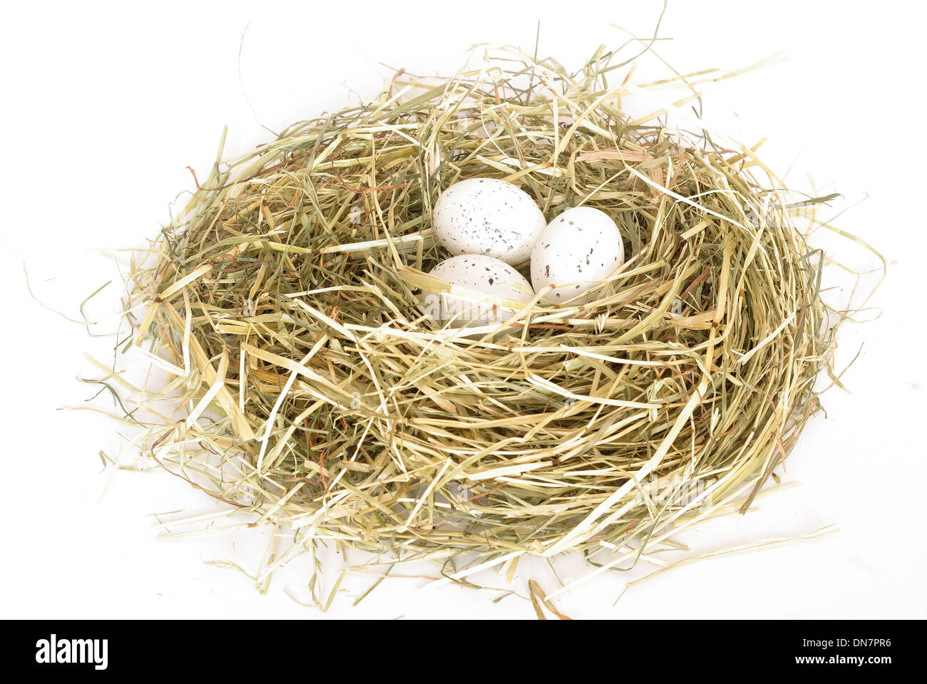 Huevo en blanco fotografías e imágenes de alta resolución - Alamy