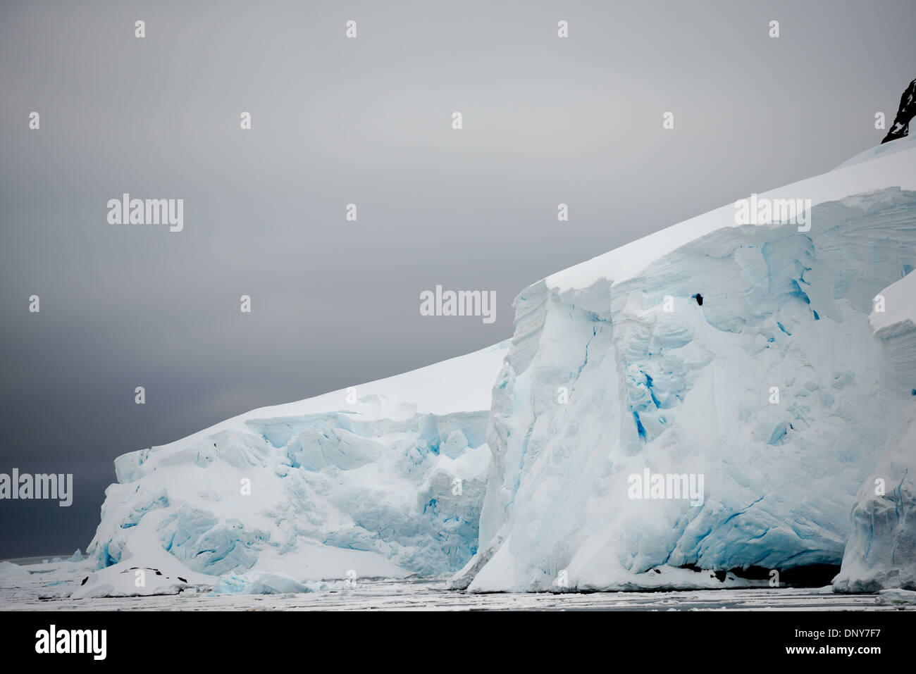 La Antártida Un Glaciar De Una Gruesa Capa De Hielo Y La Nieve Cae En