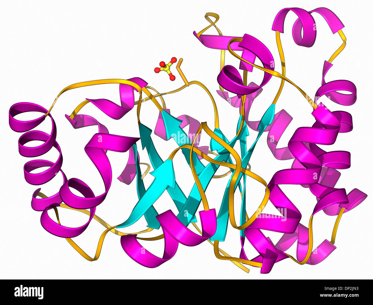 Formula Estrutural De Fosfato
