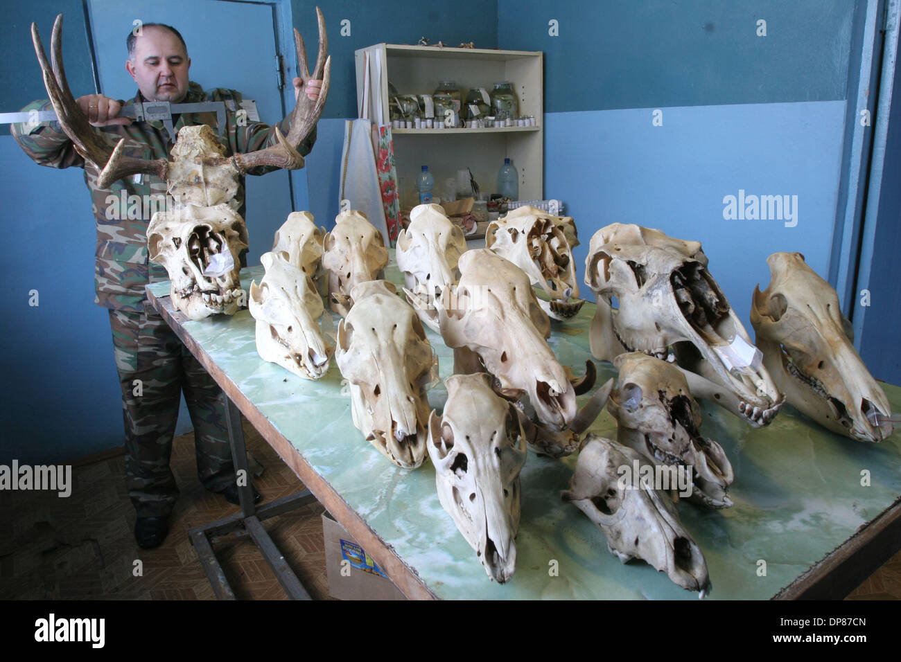 Animales Deformes Chernobyl