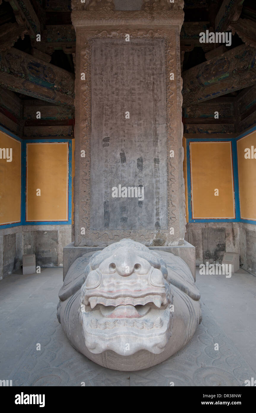 Estatua de tortuga fotografías e imágenes de alta resolución - Alamy