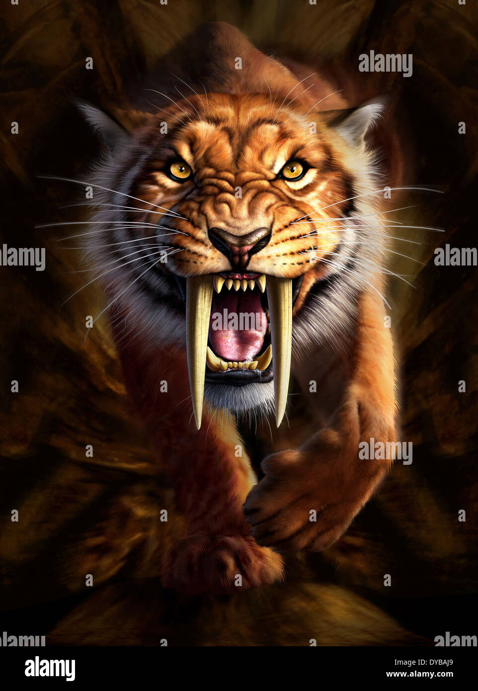Dibujos De Tigres Dientes De Sable