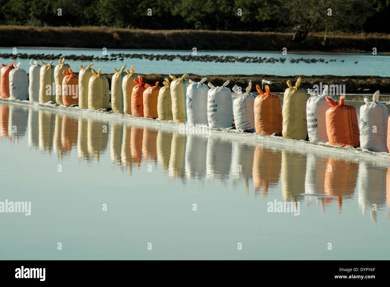 Producción De Sal Marina Fotos e Imágenes de stock - Alamy