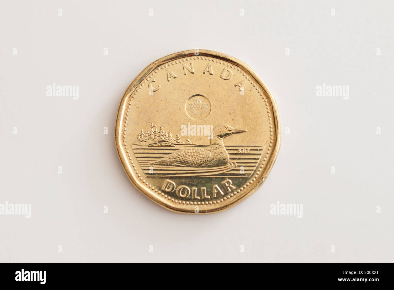 Moneda De 1 Dolar Canadiense