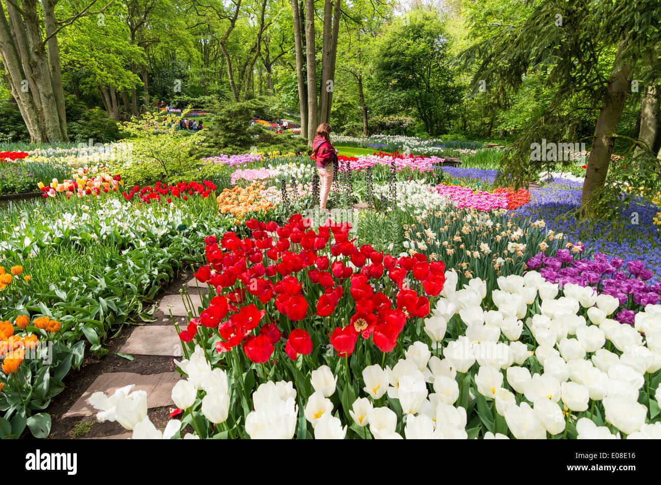 Jardín De Flores De Colores