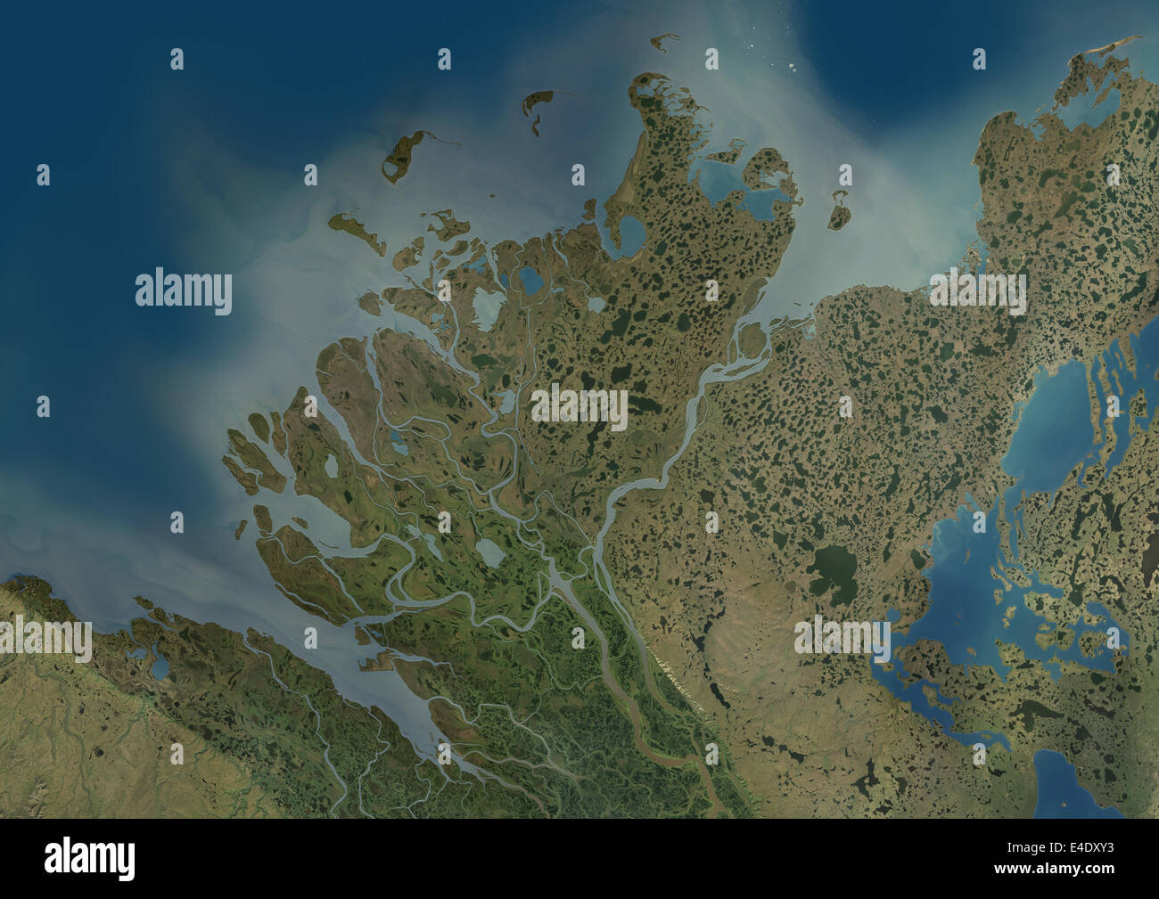 Contador virtud Adaptabilidad mapa rio mackenzie cómo abajo Fatal
