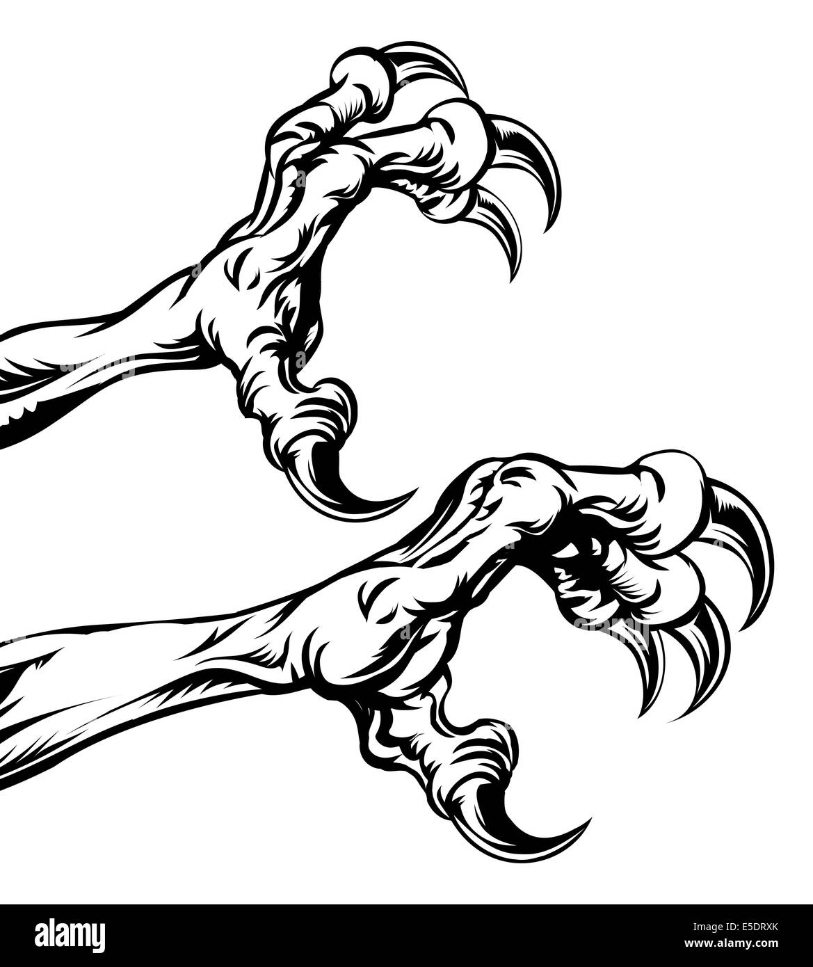 Garra De Zarzamora Y Escarcha De Halcón