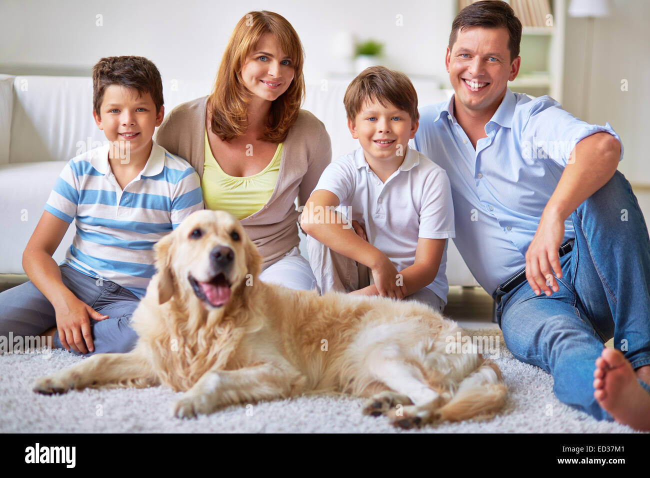 Los Perros Se Aparean Con Sus Propios Hermanos