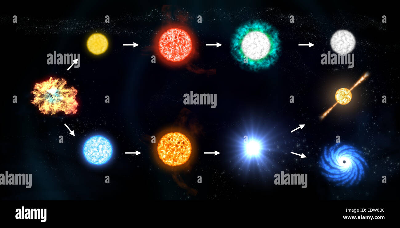 Ciclo de vida de una estrella Fotografía de stock - Alamy Ciclo de vida de una estrella Fotografía de stock - Alamy