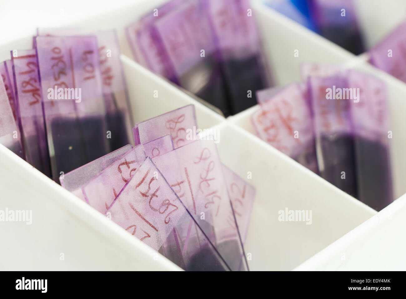 Laboratorio De Prueba De Frotis Fotografías E Imágenes De Alta