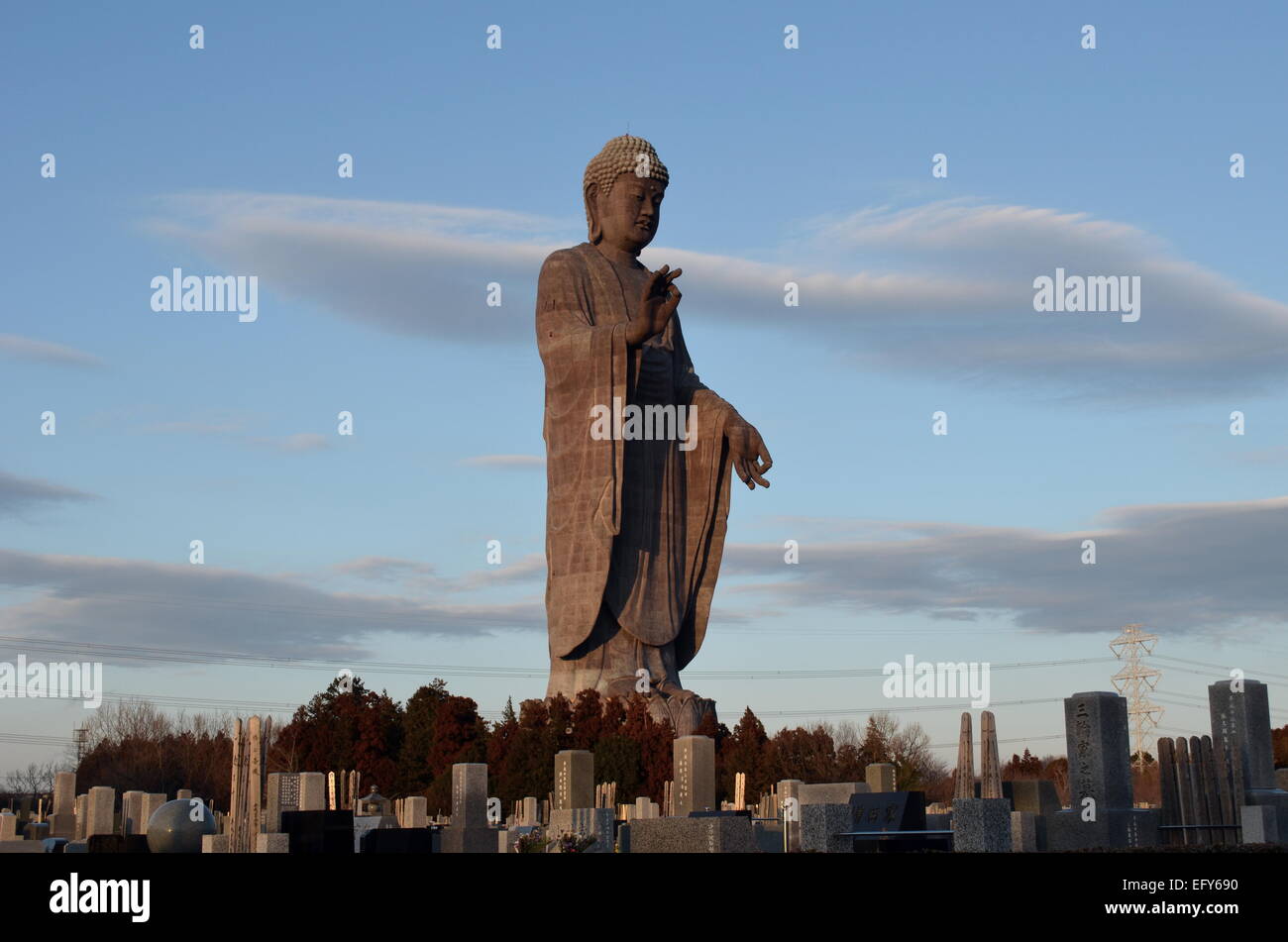 Japan Statue Ushiku at Amanda Collison blog