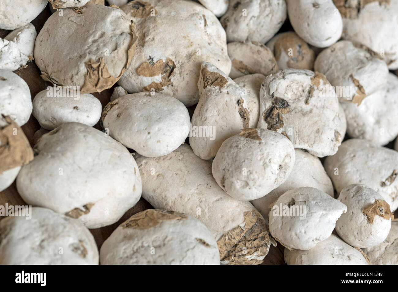 White chuño fotografías e imágenes de alta resolución - Alamy