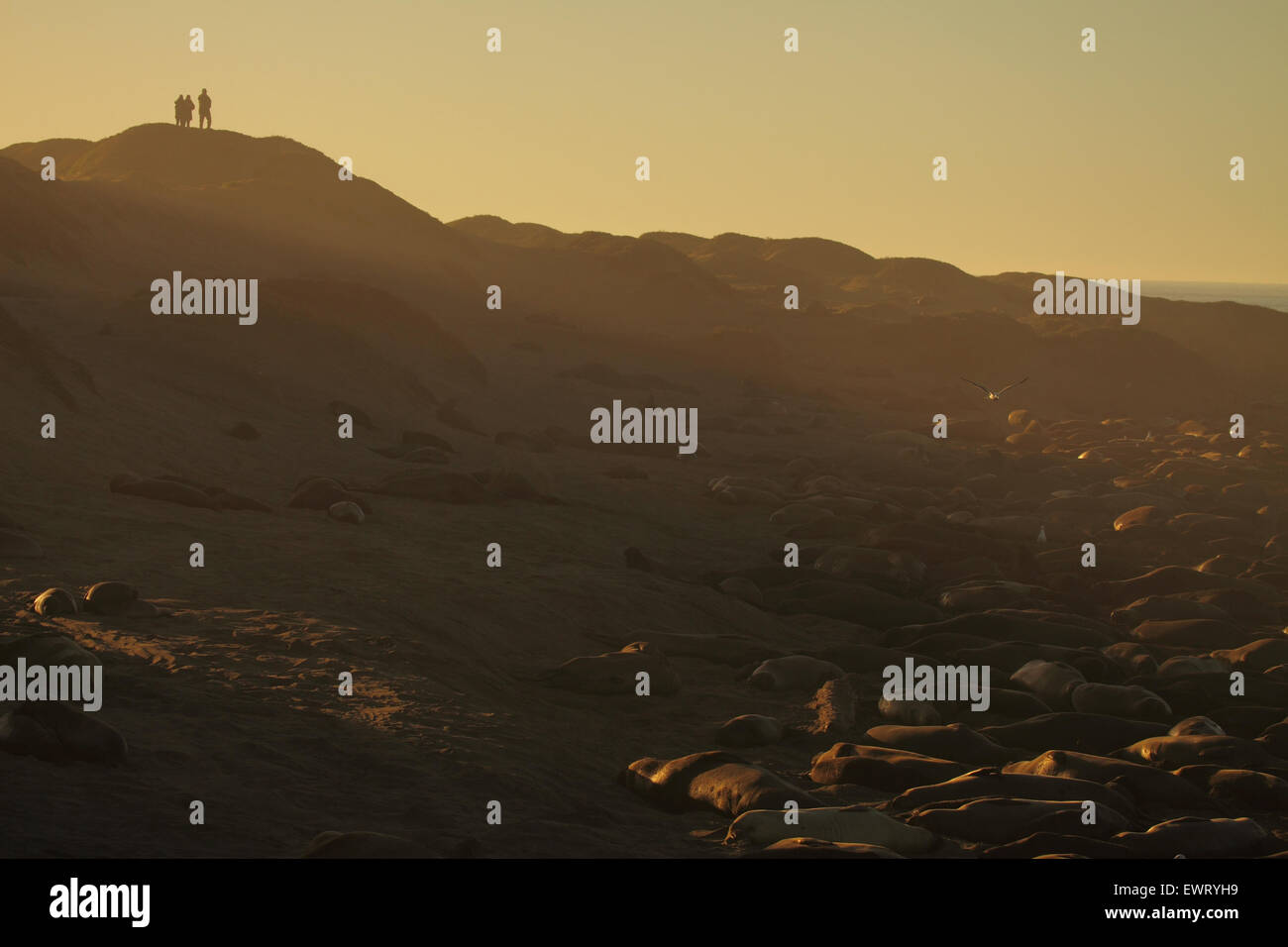 Silueta De Exploradores Fotografías E Imágenes De Alta Resolución Alamy