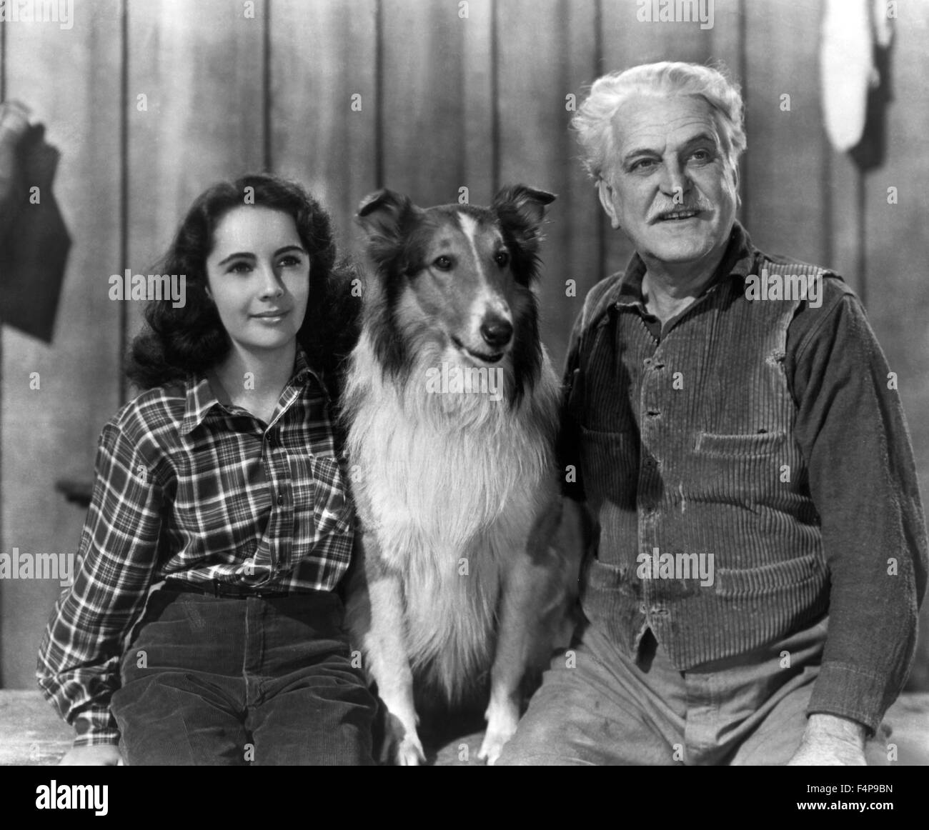 Courage Lassie 1946 Elizabeth Taylor Fotografías E Imágenes De Alta