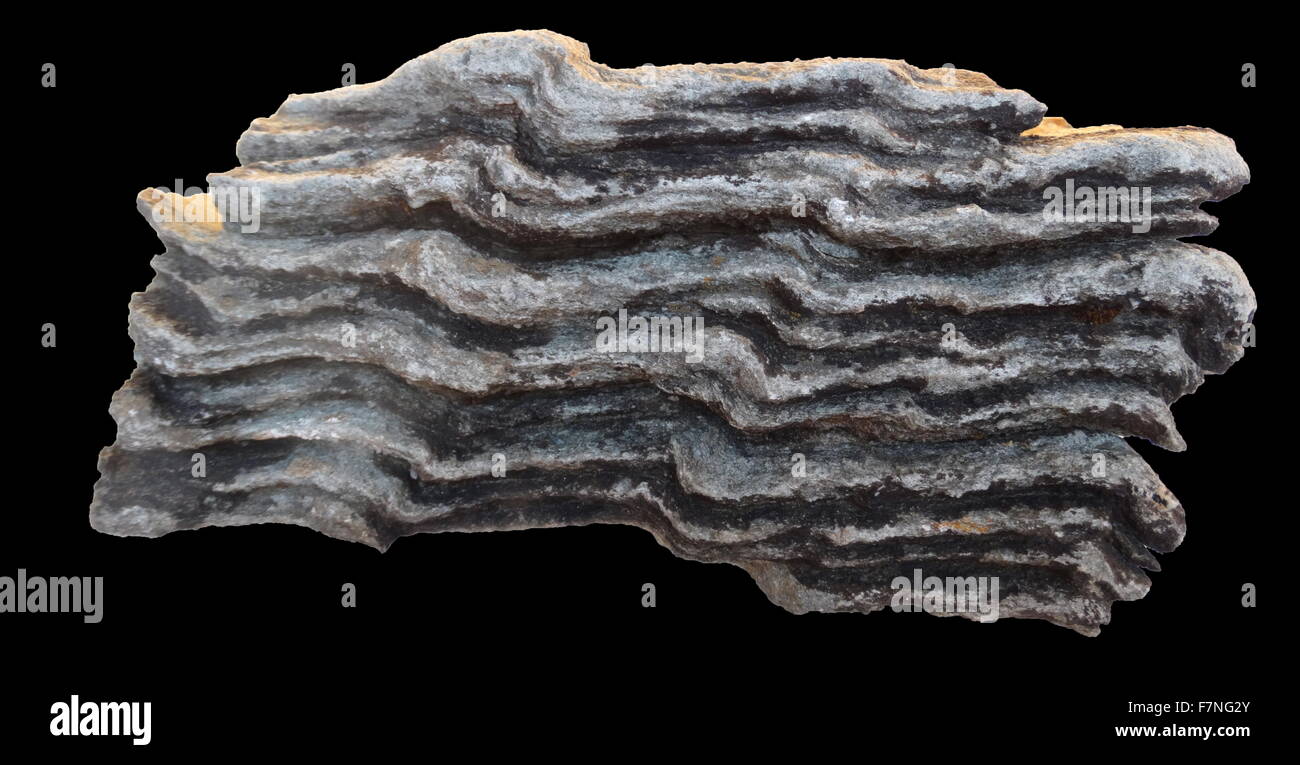 Rocas Metamórficas De Filita