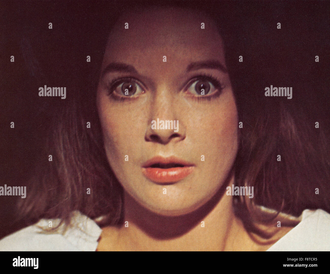 Pamela Bert's Instagram, Twitter & Facebook on IDCrawl