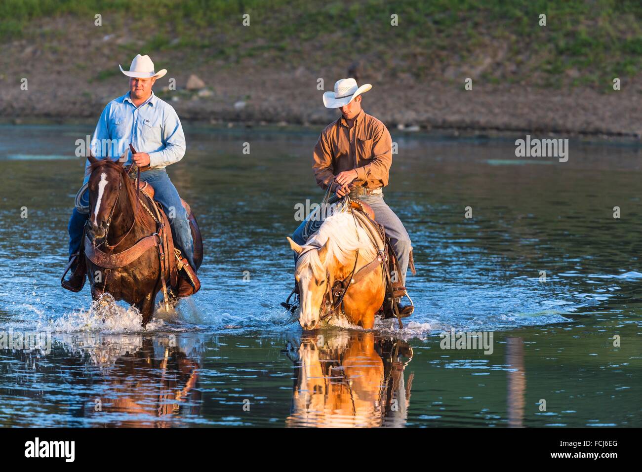 Vaqueros Caballos Cansados Invierno
